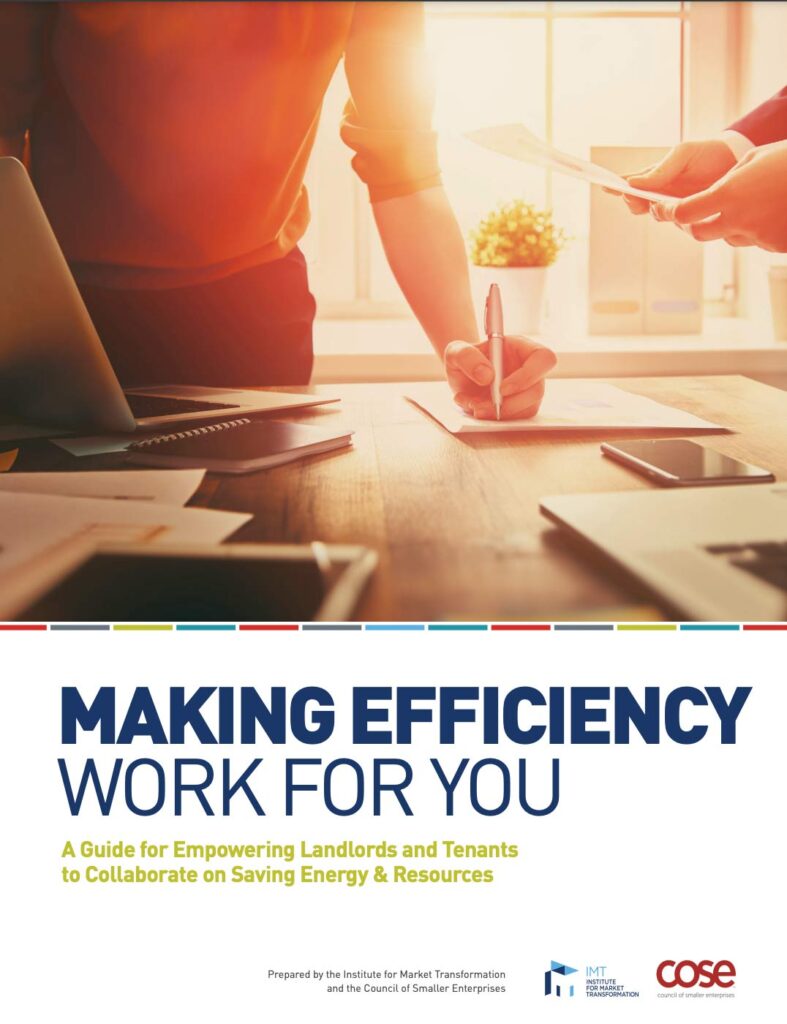 Making Efficiency Work for You: A Guide for Empowering Landlords ...